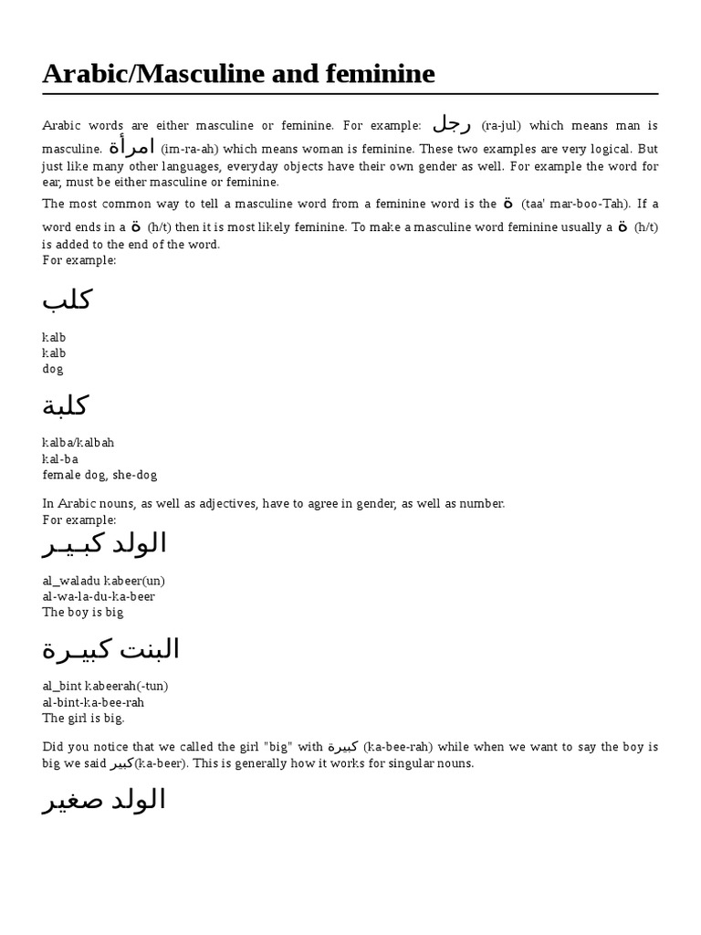Arabic Masculine - and - Feminine | PDF