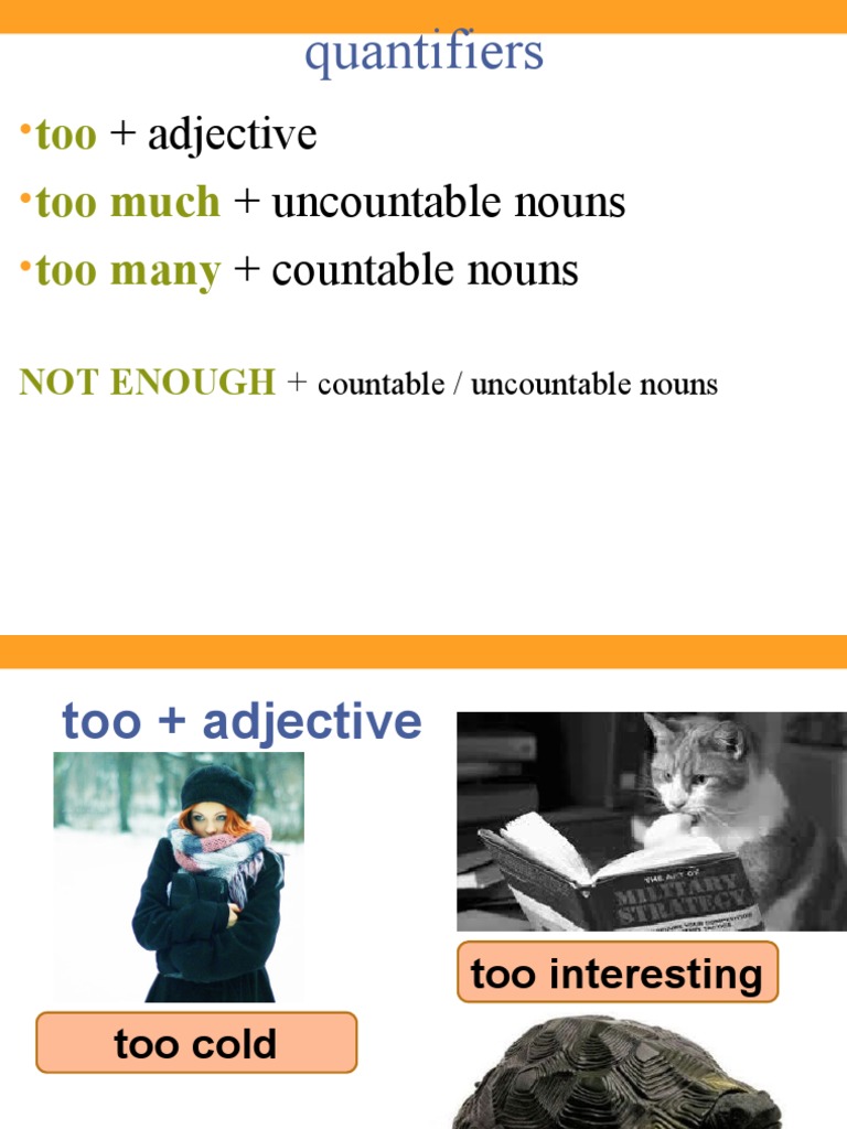 Understanding Quantifiers: Too Much & Enough | PDF