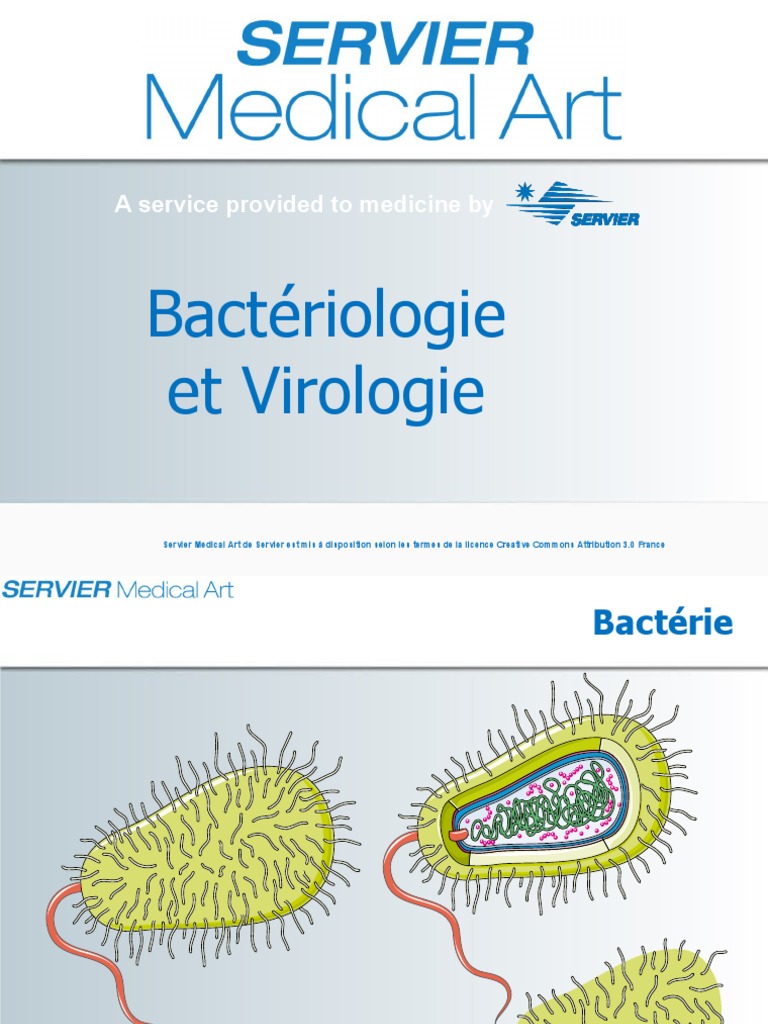 Bacteriologie Virologie | PDF | Arbre de vie (Charles Darwin) | Virus