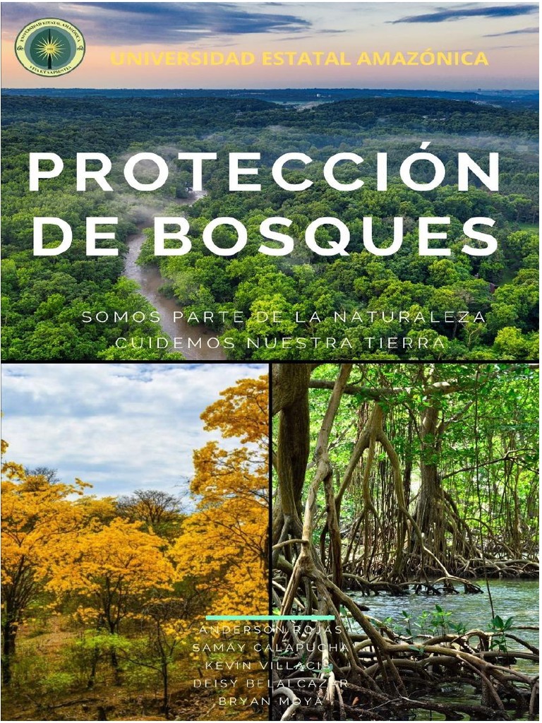 Bosques Del Ecuador | PDF | Deforestación | Los bosques