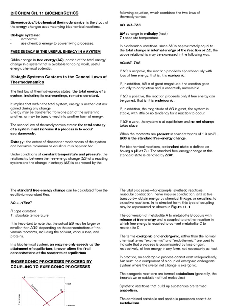 Biochem Ch. 11 Bioenergetics: T: Absolute Temperature | PDF | Adenosine ... Biochem Ch. 11 Bioenergetics: T: Absolute Temperature | PDF | Adenosine ...