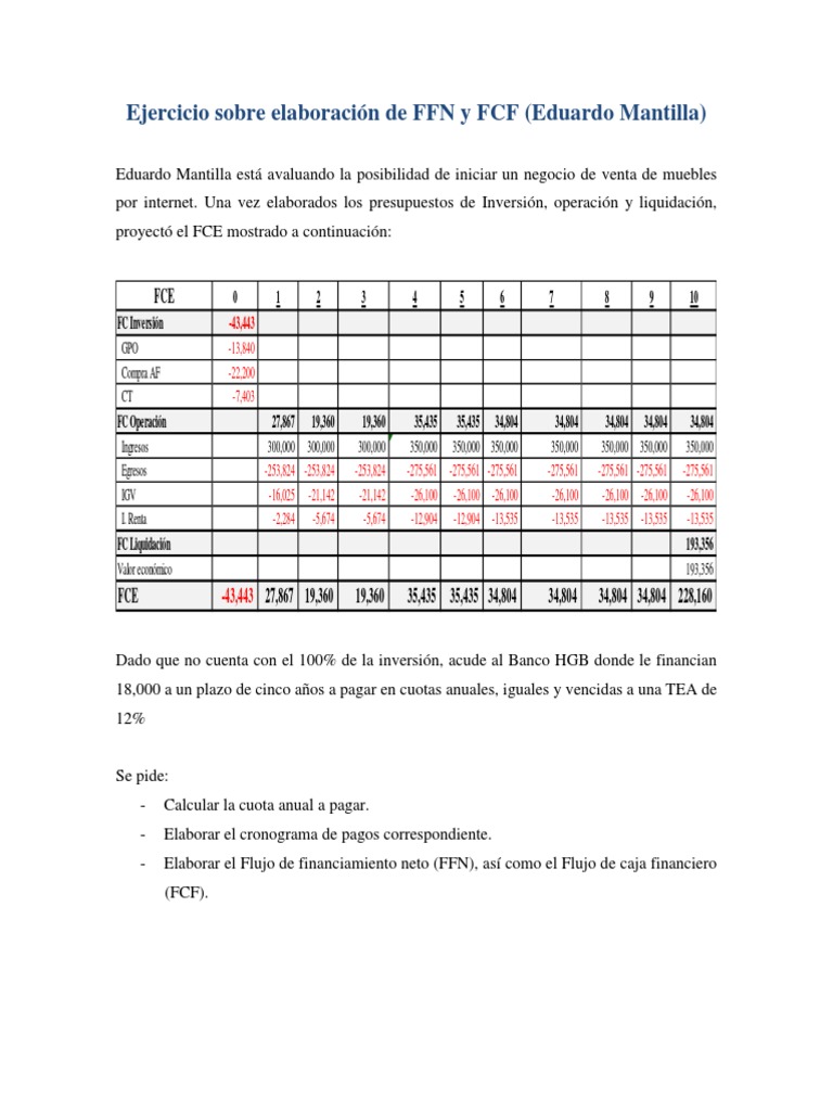 Ejercicio FFN y FCF (Eduardo Mantilla) | PDF