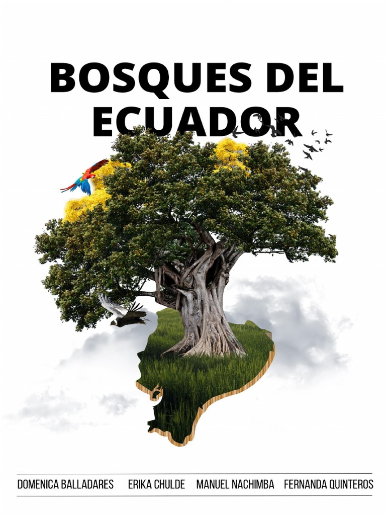 Los Bosques Del Ecuador | PDF | Los bosques | Arboles