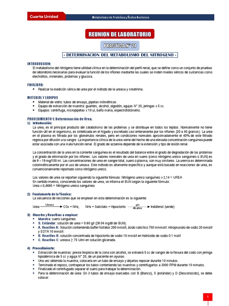 PRACTICA 21. Determinación de Urea y Creatinina PDF | PDF | Creatinina ...