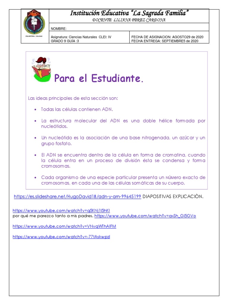 El Adn | Descargar gratis PDF | Adn | Dominancia (Genética)