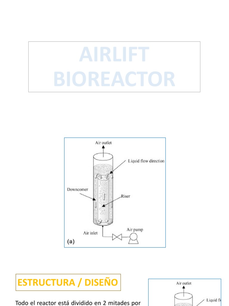 Airlift Bioreactor | PDF | Motor a reacción | Transporte