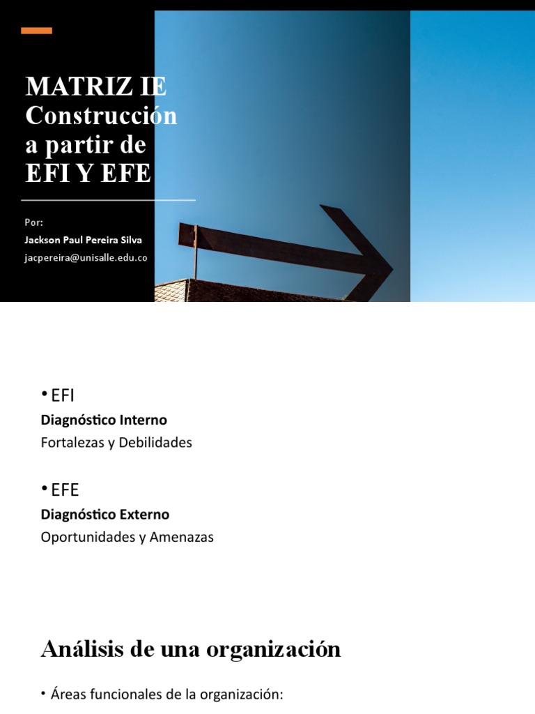 Matriz Efi y Efe | PDF | Marketing | Gestión de recursos humanos