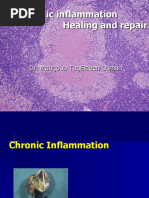 Swine Flu H1N1 Clinical Information Form | PDF | Influenza | Influenza ...