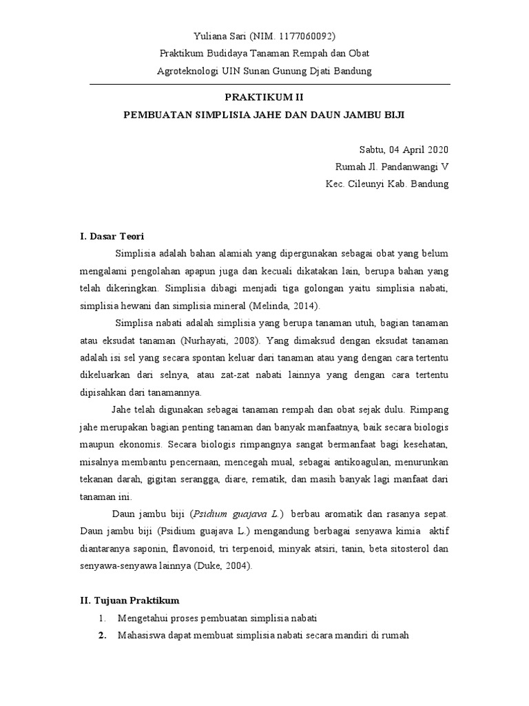 Proses Pembuatan Simplisia Jahe dan Jambu | PDF