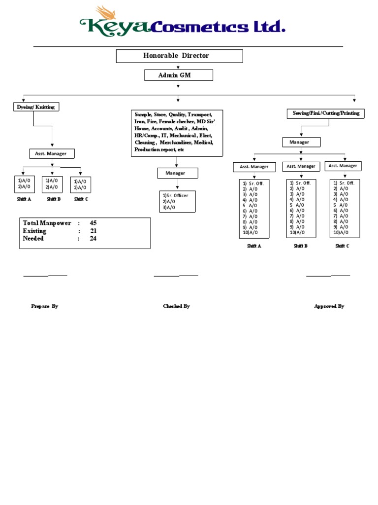 Organogram Format