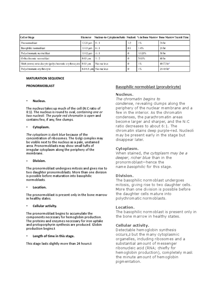 Maturation Sequence | PDF | Red Blood Cell | Cell Nucleus
