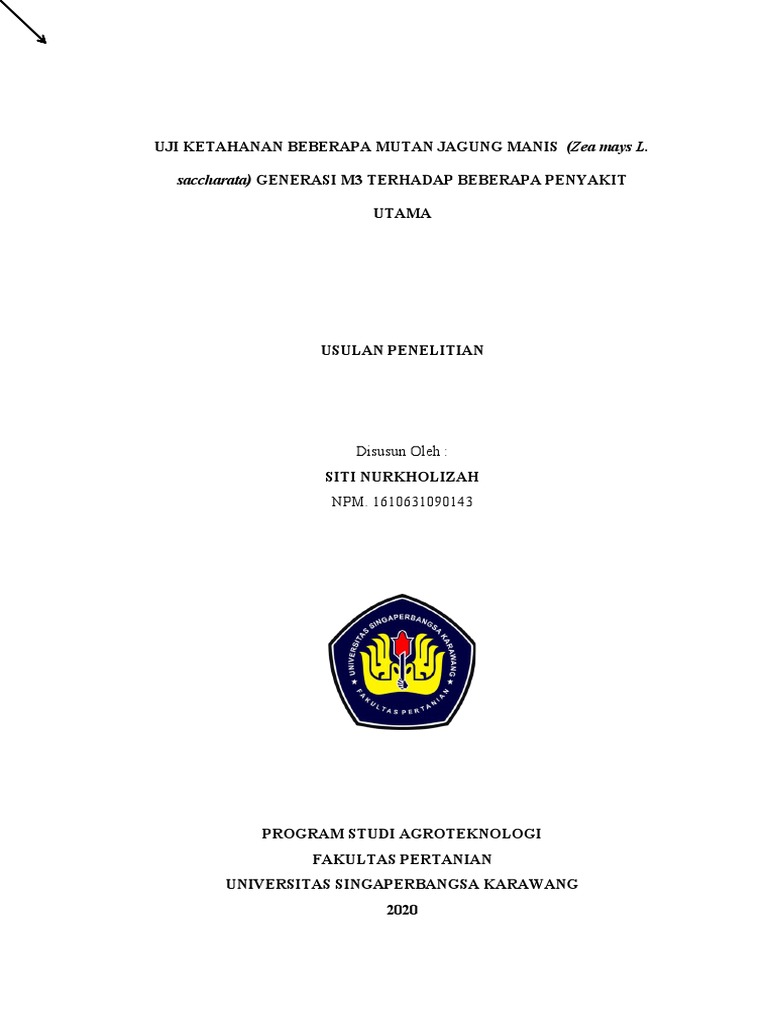 Draft Proposal Siti Nurkholizah | PDF