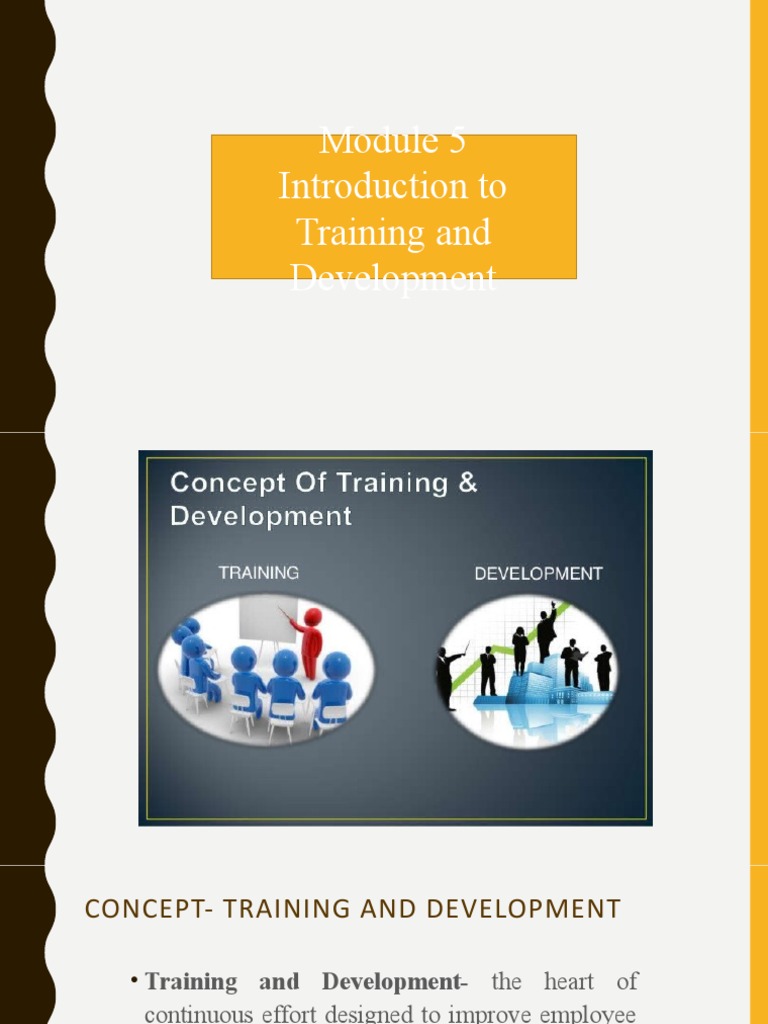 Module 5 - Training and Development Updated | PDF | Mentorship | Lecture