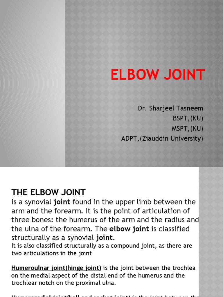 The Anatomy, Biomechanics, Common Pathologies and Physiotherapy ...