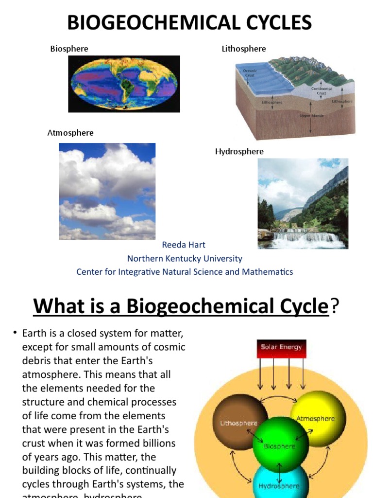 Understanding Biogeochemical Cycles | PDF | Carbon Cycle | Oxygen