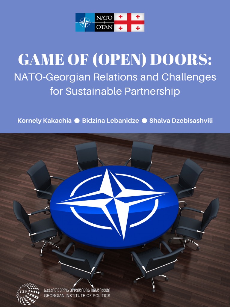 NATO-Georgia Relations: Challenges Ahead | PDF | Nato | Georgia (Country)