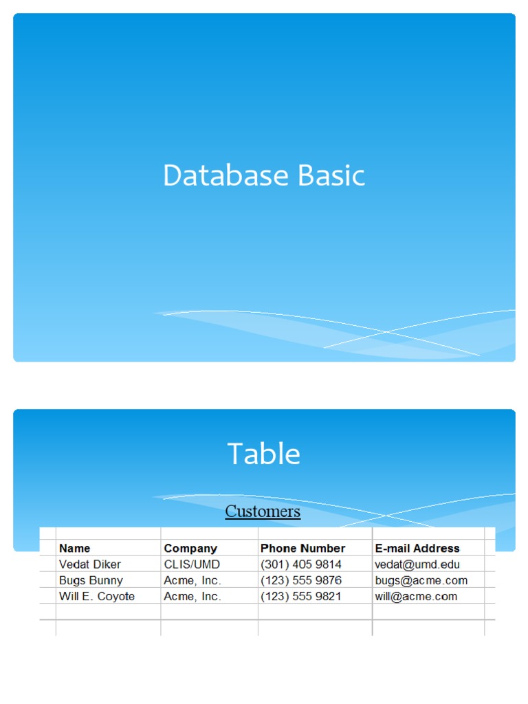 Database Basic | PDF | Databases | Database Index