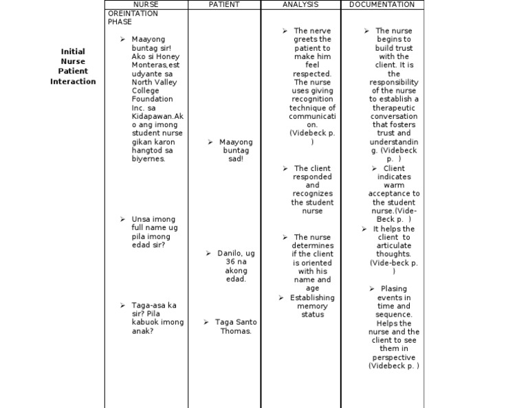 Initial Nurse-Patient Interaction Example | PDF | Health Care | Health ...