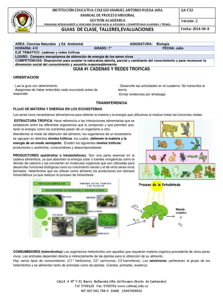 Guia 1 Cadenas y Redes Troficas 2 PDF | PDF | Biogeoquímica | Organismos