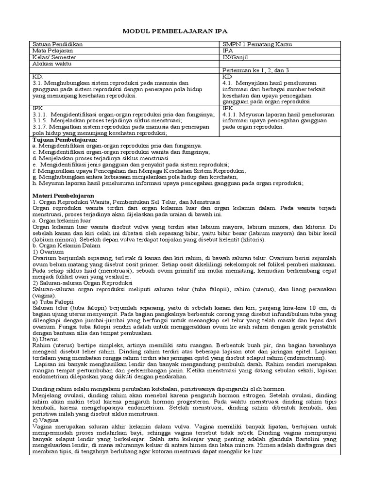 RPP Satu Lembar | PDF