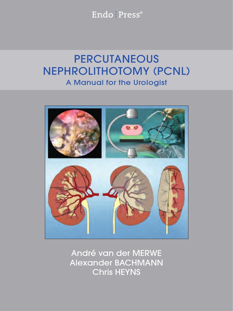 PCNL Manual For The Urologist | PDF | Kidney | Anatomical Terms Of Location