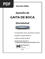 Notas e Tablaturas para Gaita Diatônica | PDF | Gaita de Boca | Acorde ...