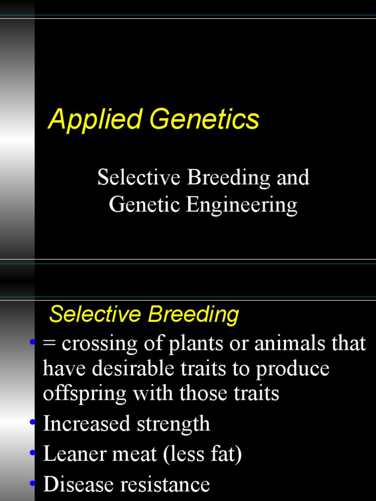 Applied Genetics: Selective Breeding and Genetic Engineering | PDF