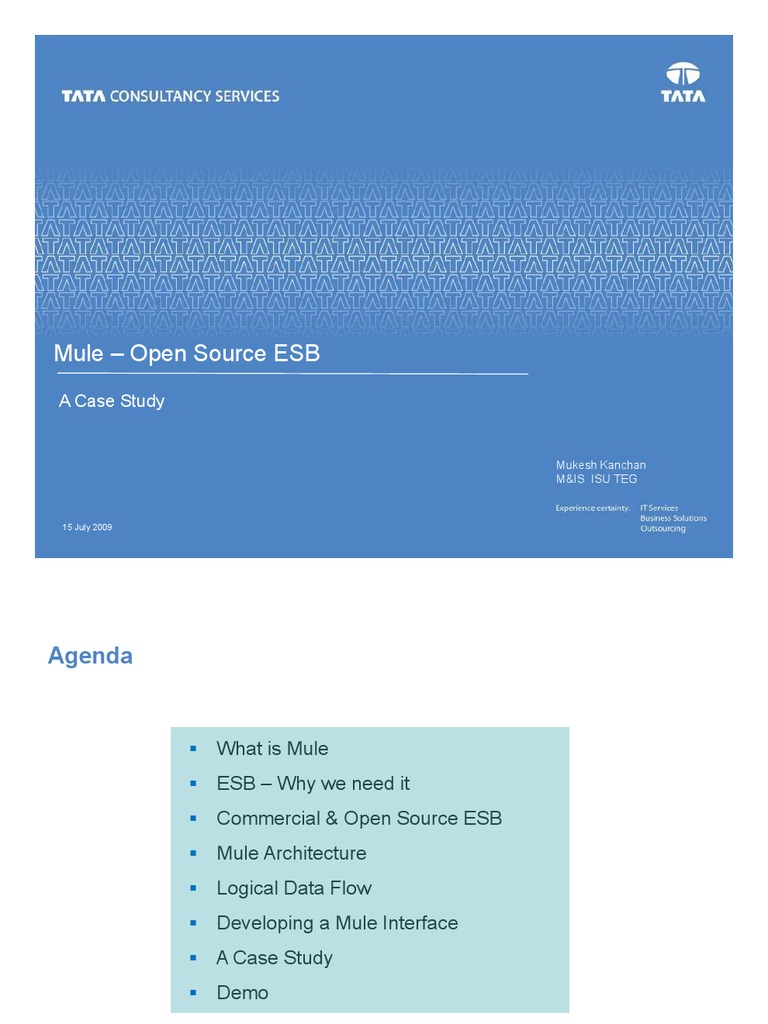 Mule Overview | PDF | Service Oriented Architecture | Metadata