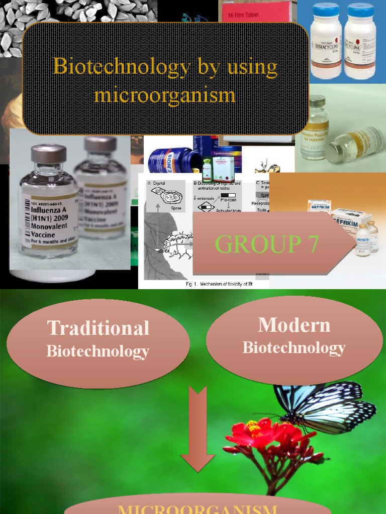 Biotechnology by Using Microorganism: Group 7 | PDF | Bacteria ...