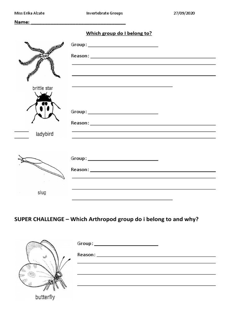 4° Week 13 Invertebrate Animals | PDF