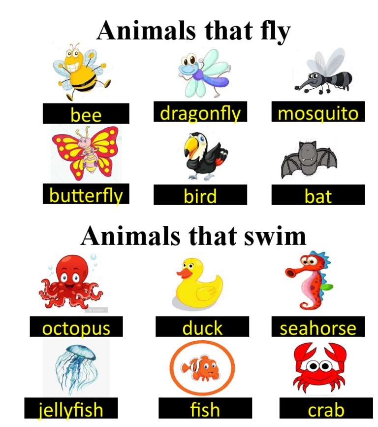 Animals That Fly and Swim | PDF