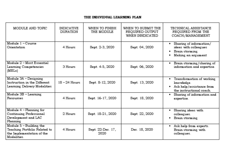 Individual Learning Plan | PDF | Expert | Teaching