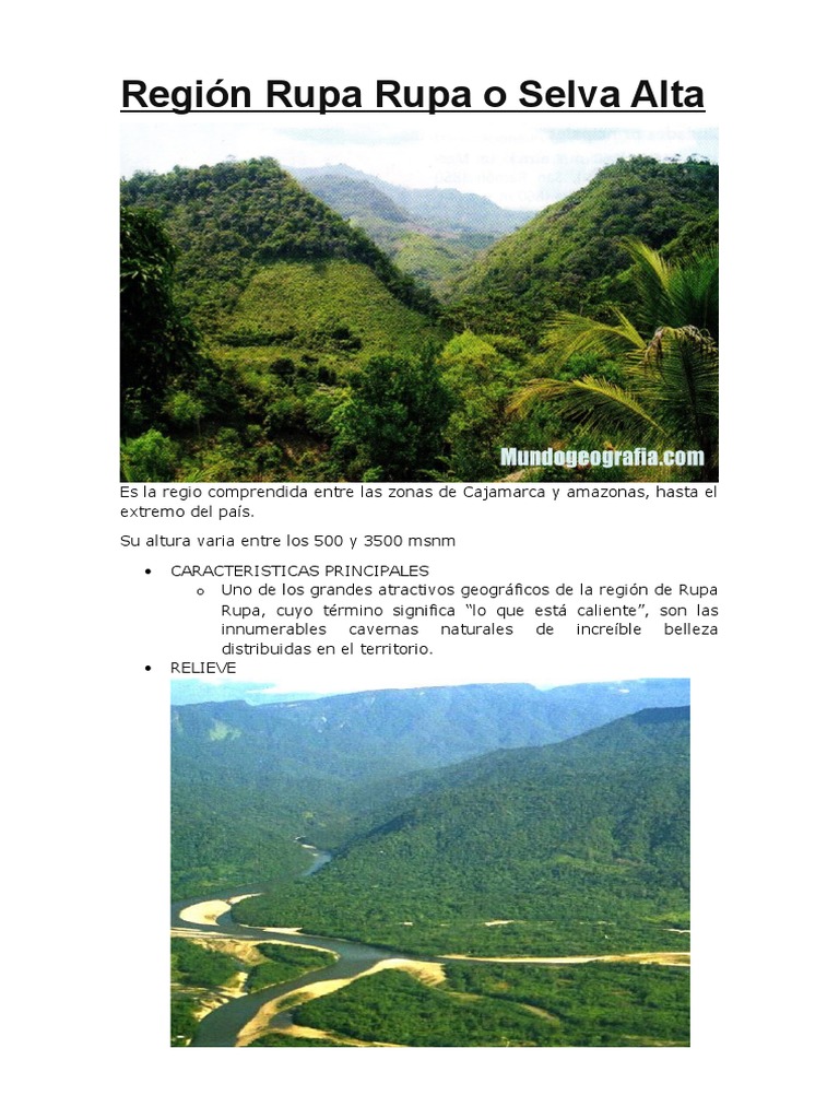 Región Rupa Rupa o Selva Alta | PDF | Selva amazónica | Precipitación