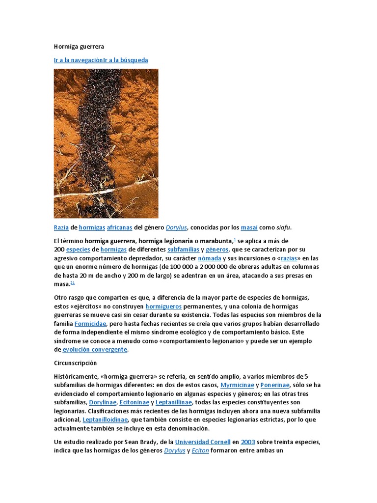 Hormiga Guerrera | PDF | Insectos | Organismos