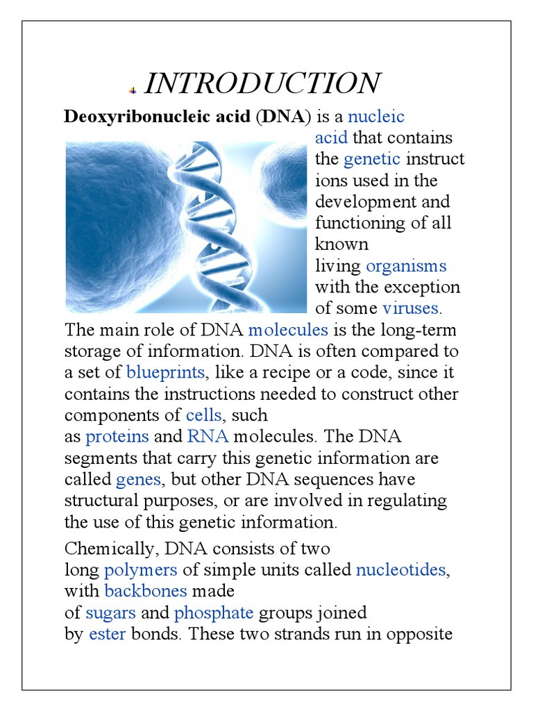 An Introduction to DNA Structure, Function, and Extraction | PDF | Dna ...