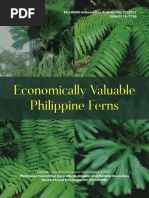 Buri Fiber - Nature and Uses | PDF | Textiles | Trees