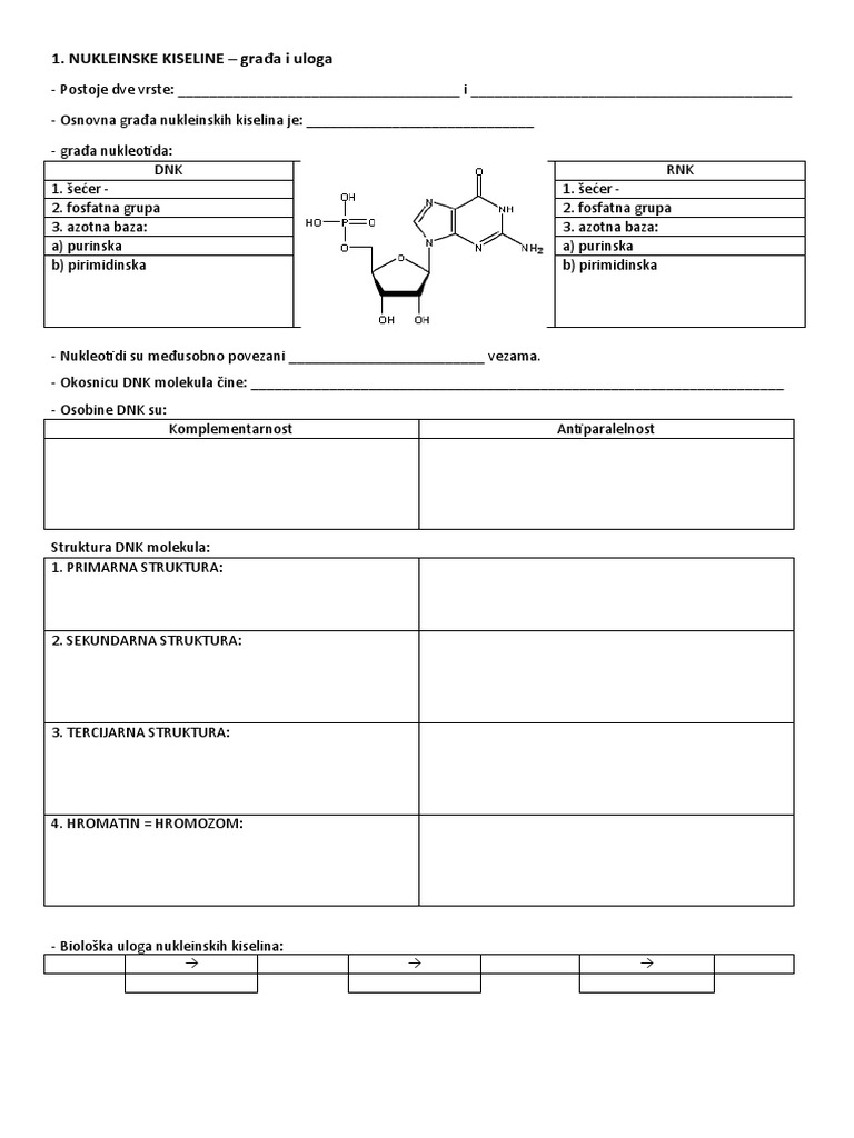 Molekularna Biologija SKRIPTA 1 | PDF