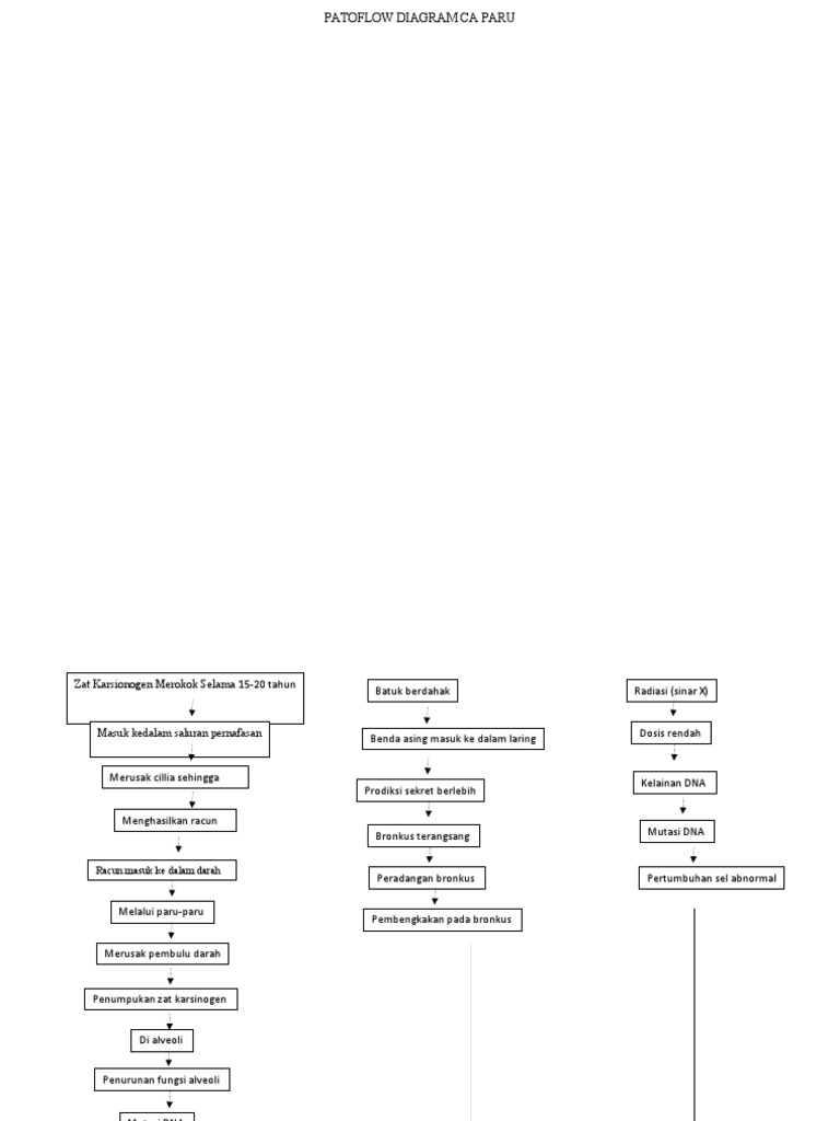 Patoflow Diagram Ca Par1 | PDF