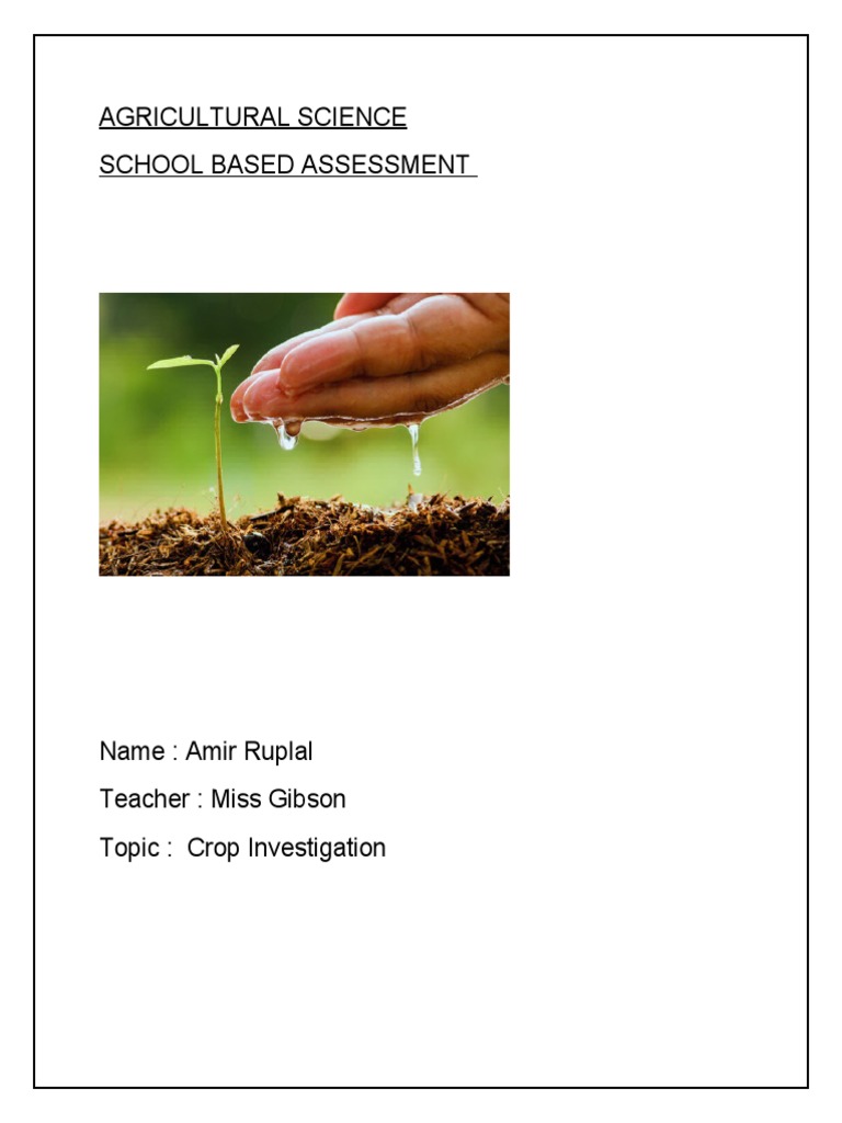 Agricultural Science School Based Assessment | PDF | Lettuce | Soil