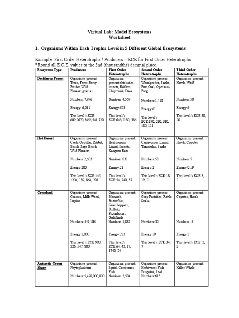 Example: First Order Heterotrophs / Producers ECE For First Order ...