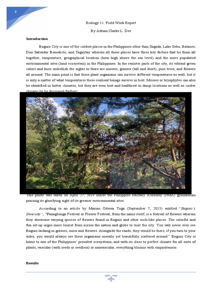 Biology 11 Field Work Report | PDF | Organisms | Plants