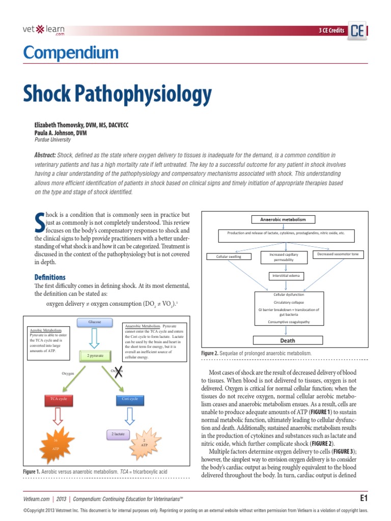 Shock Pathophysiology: Abstract | PDF | Shock (Circulatory) | Angiotensin