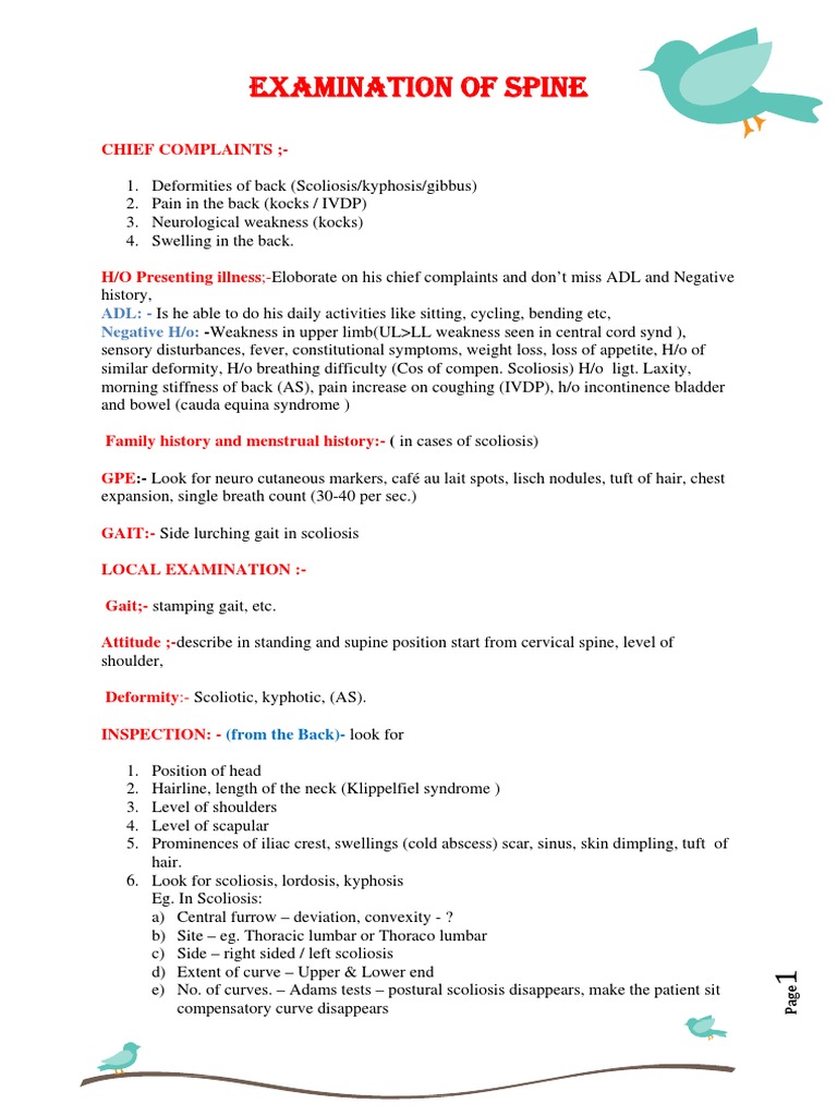 Examination of Spine | PDF | Vertebra | Thorax