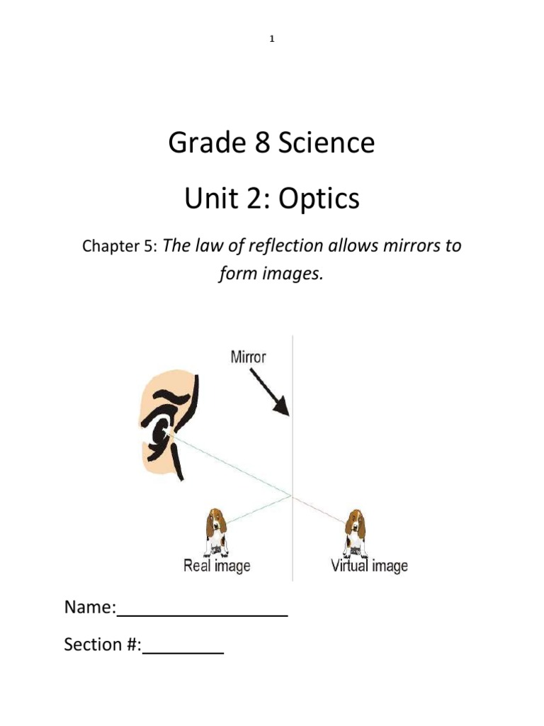 Science 8 Chapter 5 Booklet PDF | PDF | Reflection (Physics) | Mirror