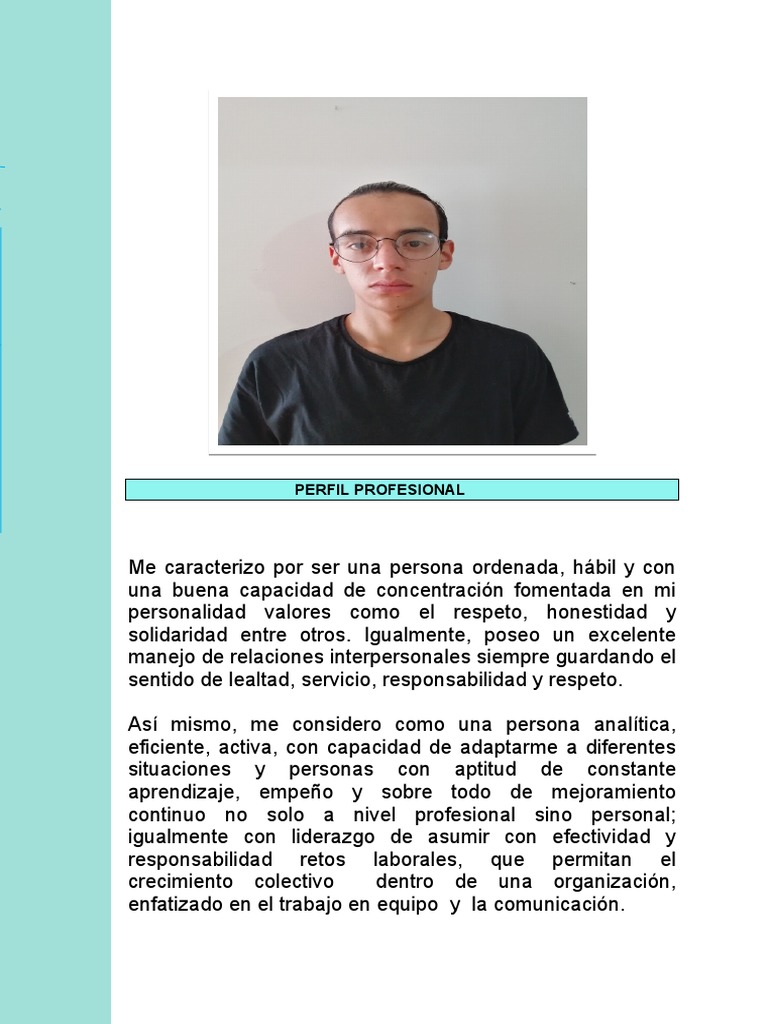 Perfil Profesional | PDF