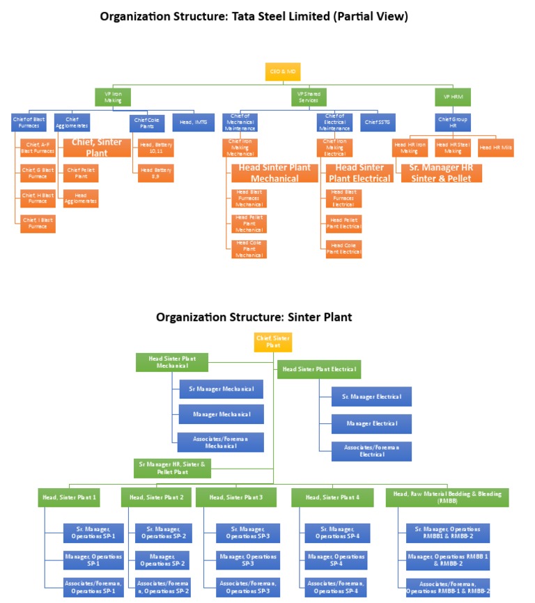Organization Structure: Tata Steel Limited (Partial View) | PDF ...