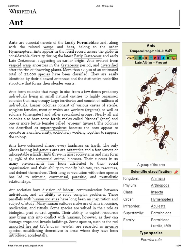 Ants Ants Are Eusocial Insects of The Family Formicidae And, Along ...