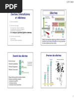 Types de jonctions cellulaires expliqués | PDF | Biologie cellulaire ...