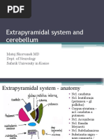 NIHSS Scoring: Coma Difficult or Confused Tips | PDF | Diseases And ...