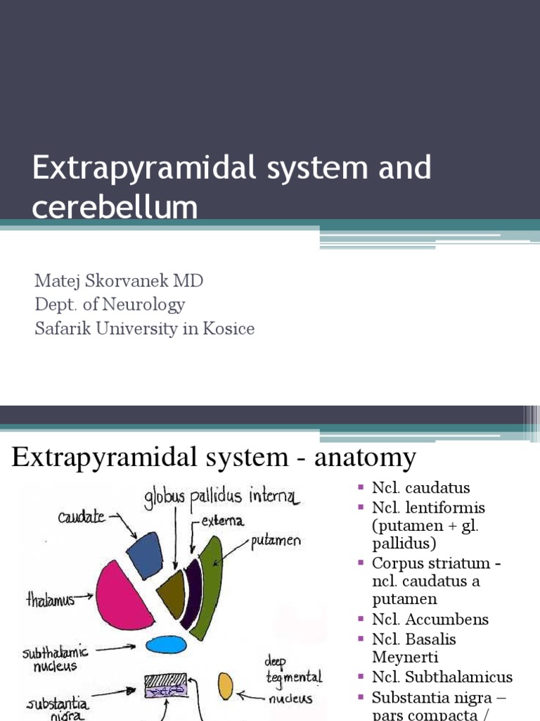 Extrapyramidal System and Cerebellum | PDF | Dystonia | Nervous System